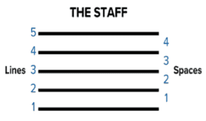 How to Read Sheet Music for Complete Beginners | Klangio